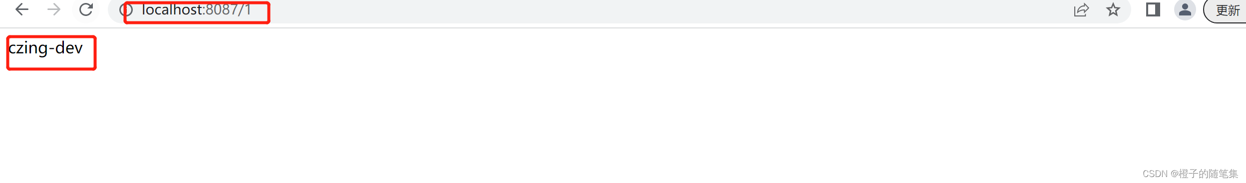 Springboot的配置文件value方式读取不同环境配置信息value 多个配置 Csdn博客