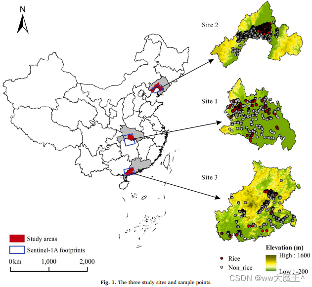 2021 RSE《An automated rice mapping method based on flooding signals in SAR time series》_mapping ...