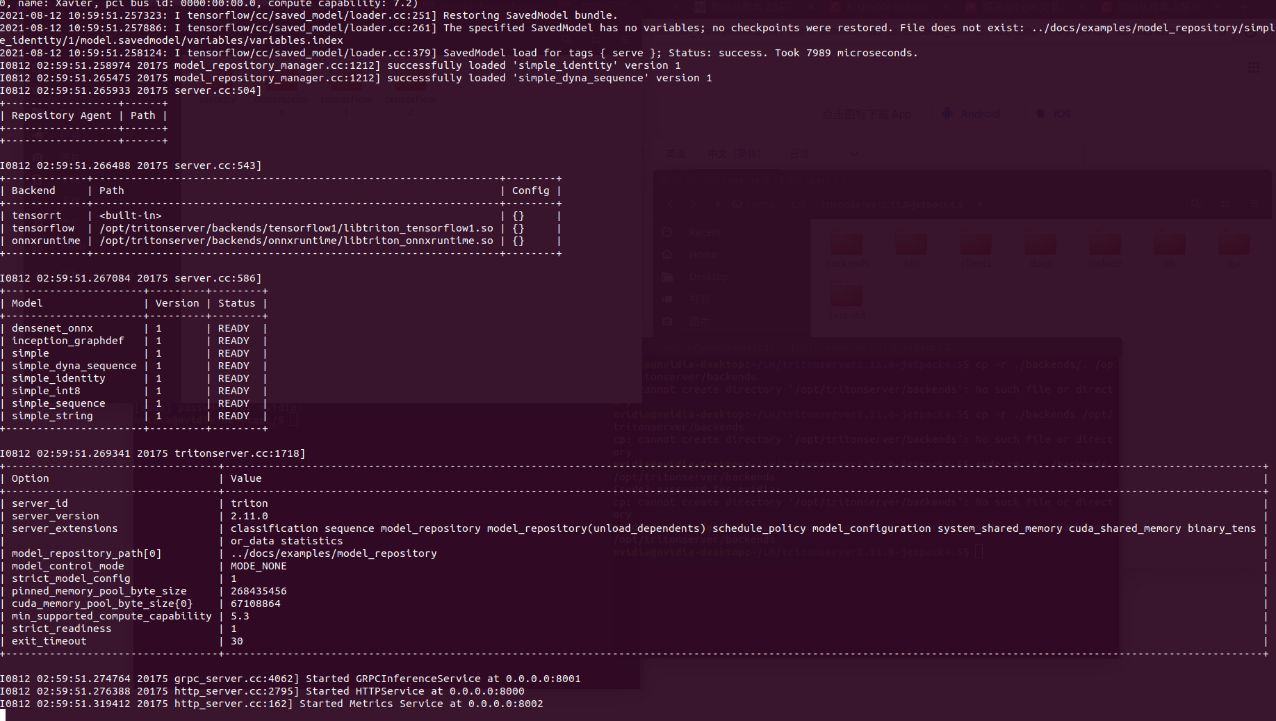 Jetson调用triton inference server详细笔记-CSDN博客