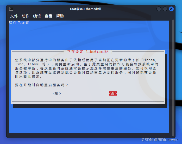 【教学】保姆级虚拟机VM16的安装以及kali的安装与配置_vmware16安装kali-CSDN博客
