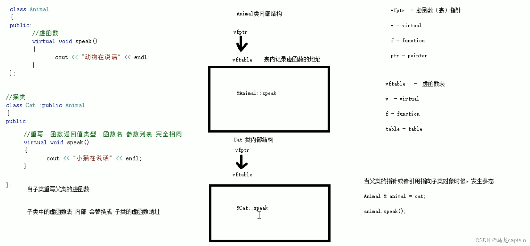 C 多态 Csdn博客