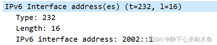 ISIS对IPv6的支持_静下心来敲木鱼的博客-CSDN博客