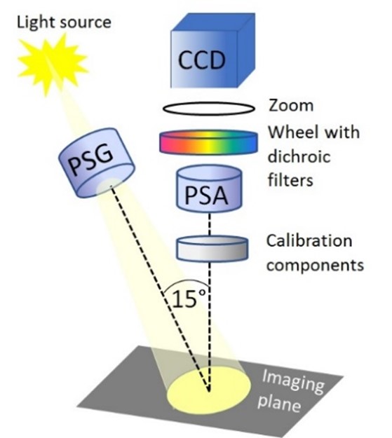 [原文] Application of Polarization Imaging Techniques in Brain Tumor ...