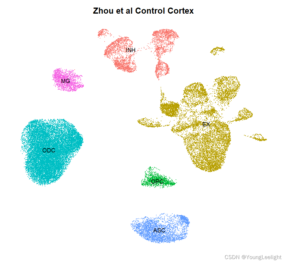 hdwgcna官网教程 详解-CSDN博客