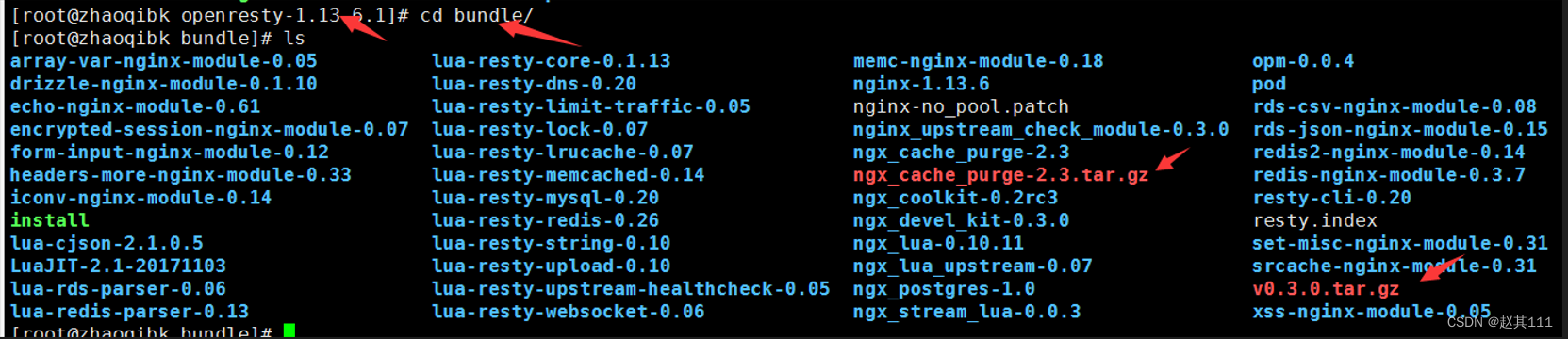 openresty简介及安装_openresty openssl-CSDN博客