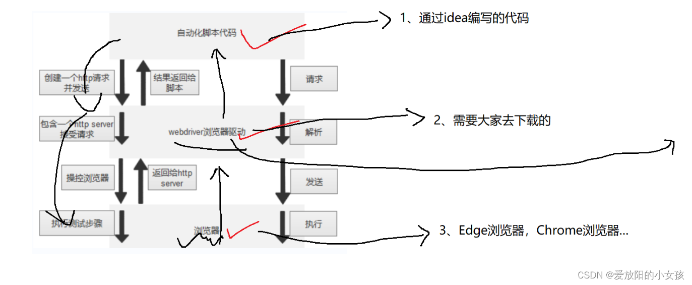 自动化测试selenium自动化测试表单输入 Csdn博客 