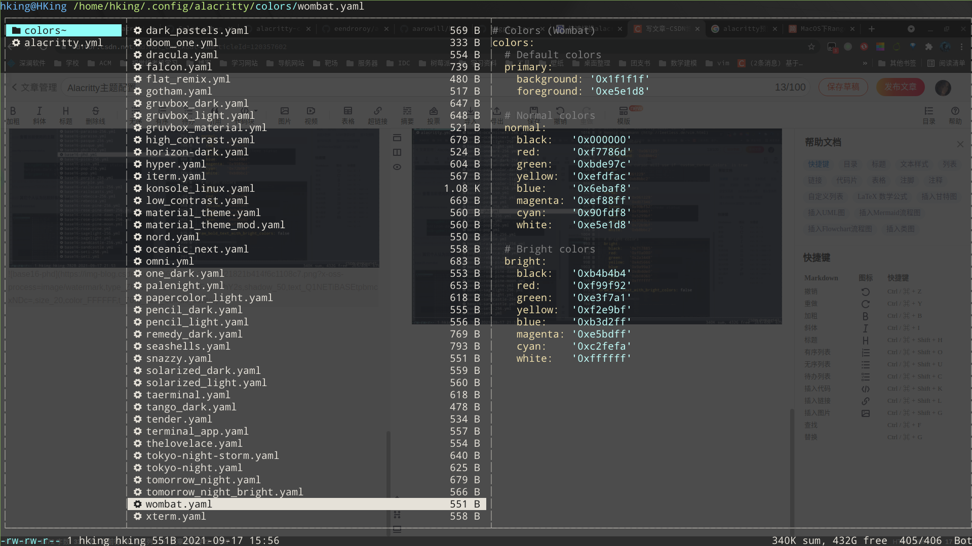 Alacritty主题配置_alacritty配置-CSDN博客