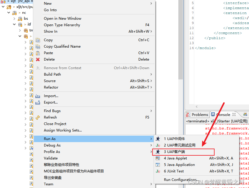 本地搭建NC环境，实现代码开发工作_nc开发环境-CSDN博客