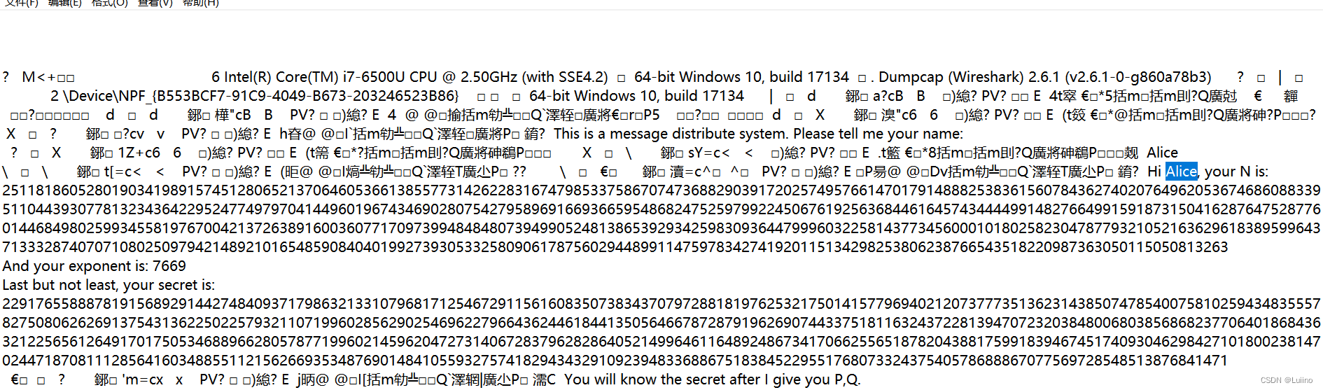 BUUCTF——rsa系列（7）_from secret import flag-CSDN博客