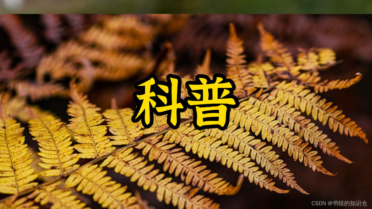 科普：长度单位“米”是怎么得来的_长度单位“米”的诞生-CSDN博客