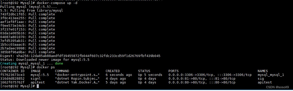 Docker Compose 安装mysql5 7 Docker Compose安装mysql5 7 Csdn博客