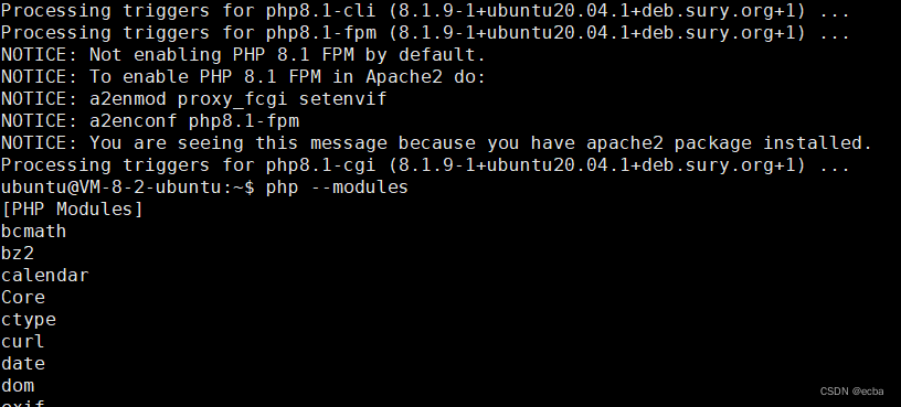 Ubuntu 22.04 | 20.04 |18.04 上安装 PHP 8.1_ubuntu安装php8-CSDN博客