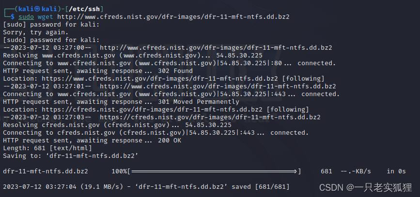 数字取证工作站搭建：The Sleuth Kit（TSK）Kali Linux搭建_kali电子取证环境搭建-CSDN博客