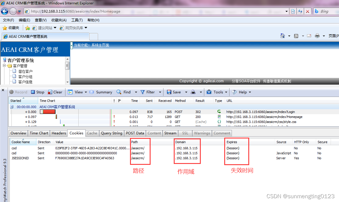 httpwatch和F12如何查看cookie的格式_电脑文件里可以看到cookie的配置格式吗-CSDN博客