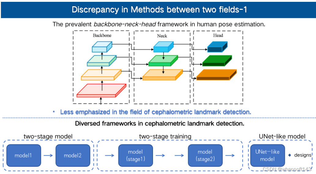 CLdetection2023_srpose-CSDN博客