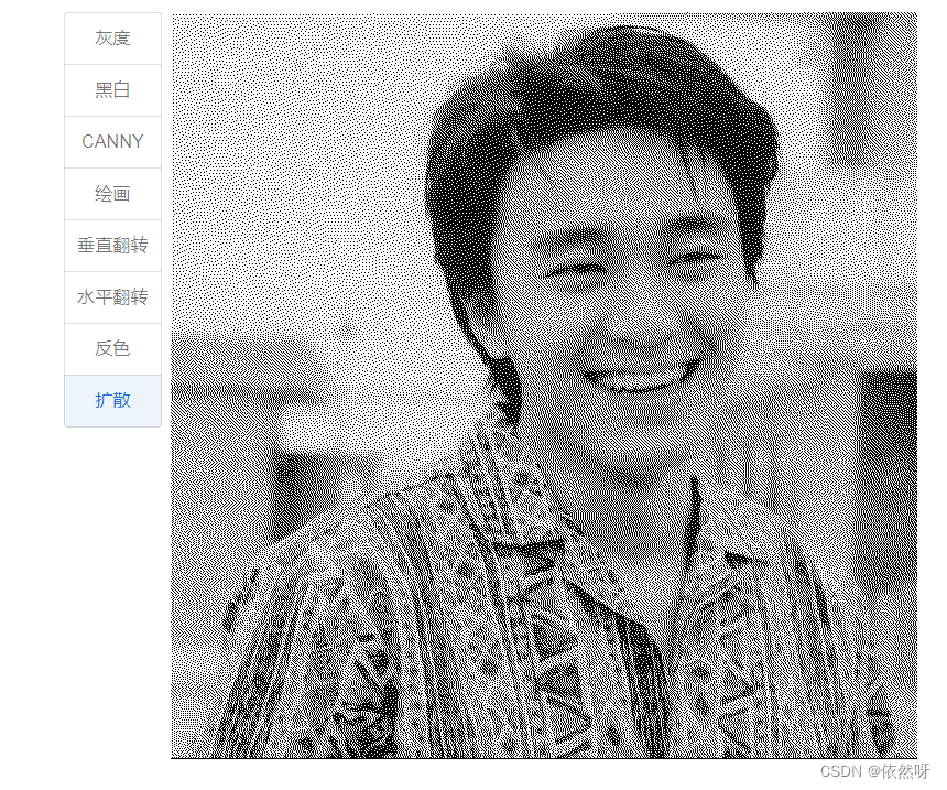 基于rust实现Floyd Steinberg效果_dynamicimage::imagergba8-CSDN博客