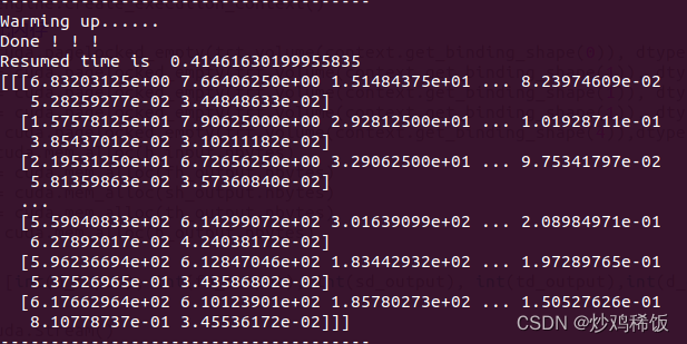 TensorRT推理过程出现condition: binding[x] != nullptr，output全0_condition: bindings[x] || nullbindingok ...