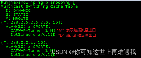 组播源与组播终端相同网段场景（二层组播场景）_和组播源对接-CSDN博客