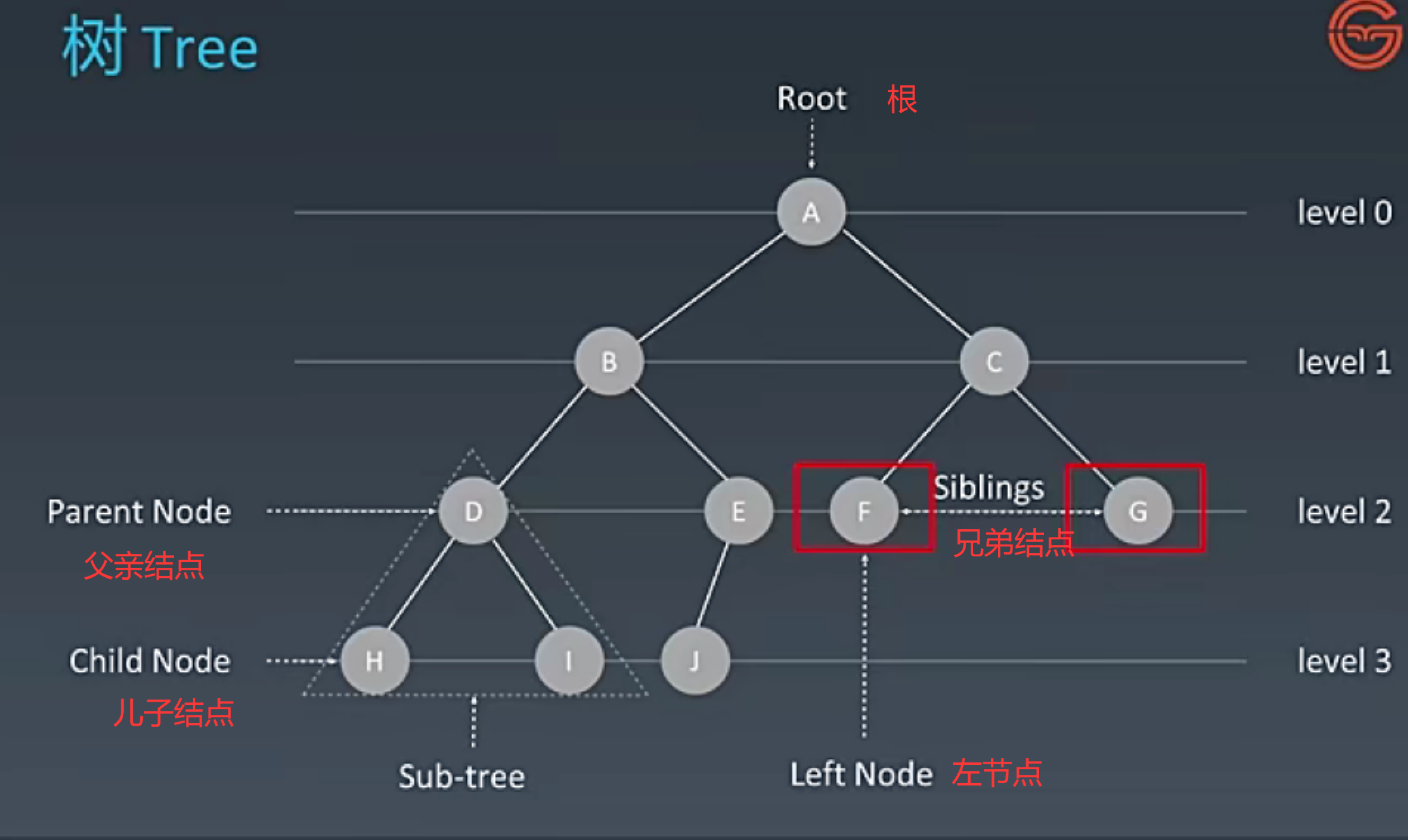 【C++】Day20 Tire 树 Acwing.835 Trie字符串统计（算法基础课笔记）_acwing中tire字符串统计-CSDN博客