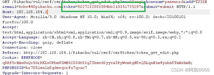 18-csrf漏洞及ssrf漏洞_hfs漏洞-CSDN博客