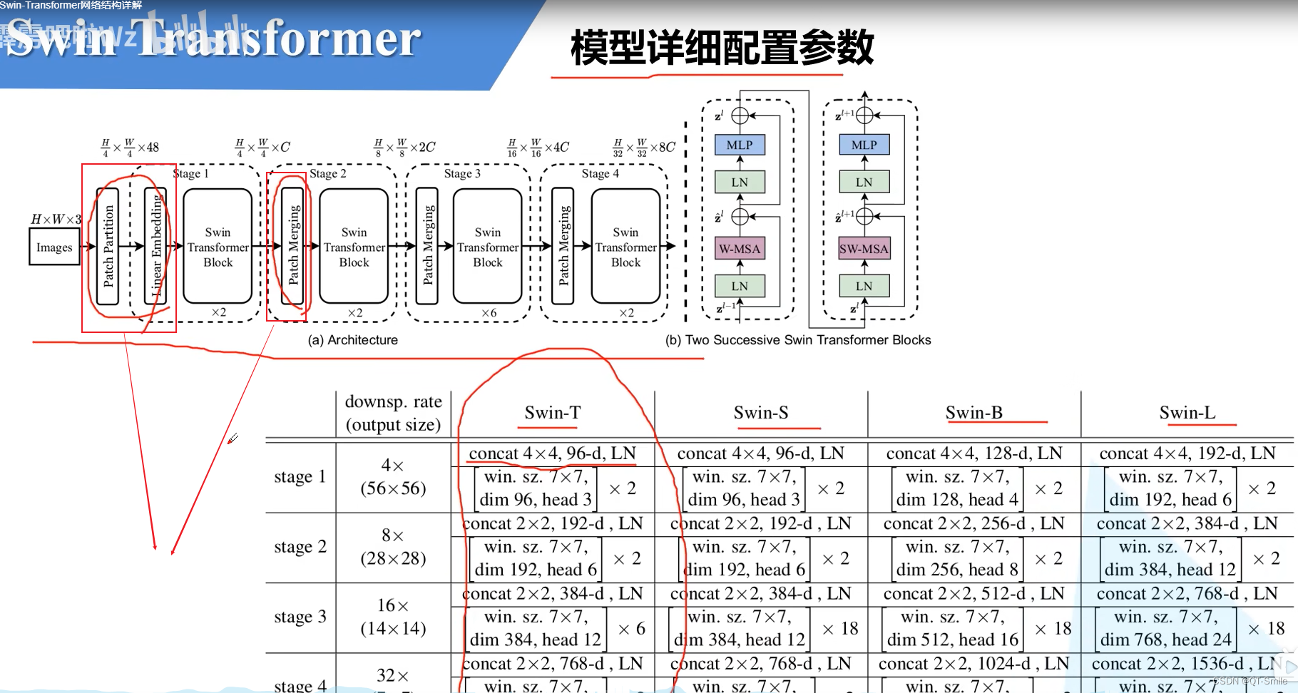 SwinTransformer网络架构_transformer msa-CSDN博客