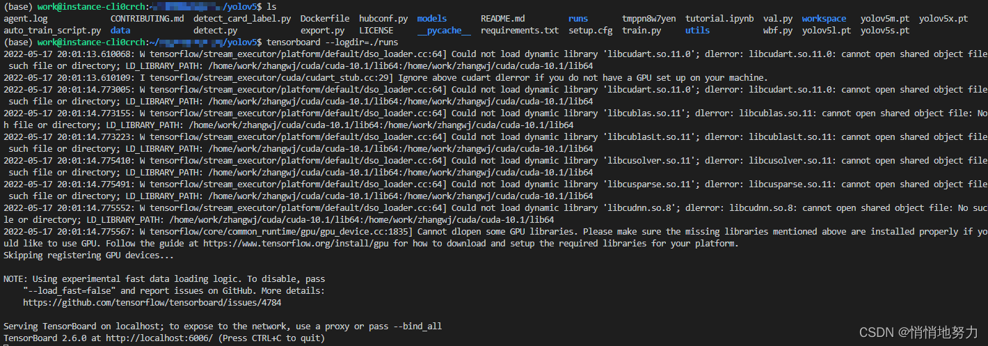 yolov5 tensorboard 可视化查看_yolov5在train中显示学习率实时变化曲线-CSDN博客