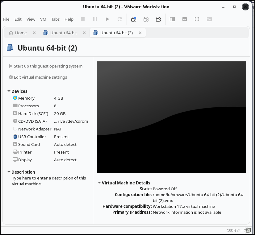 Ubuntu22.04虚拟机的安装与VMware workstations的使用_ubuntu lvm zfs-CSDN博客