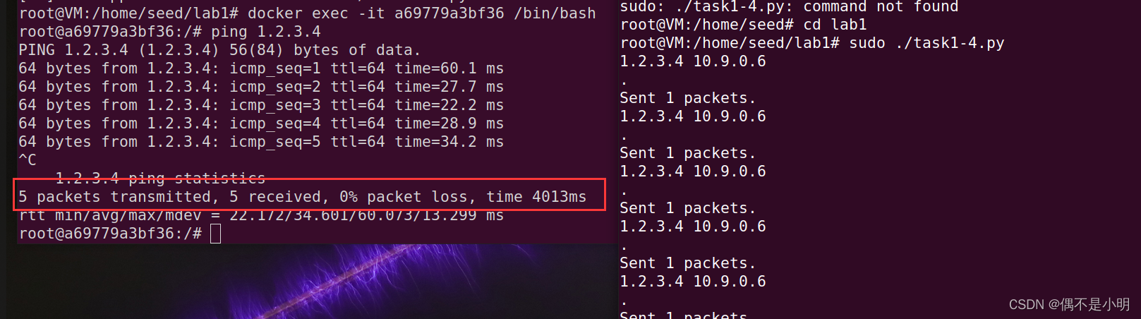 Lab1 Packet Sniffing and Spoofing Lab-CSDN博客
