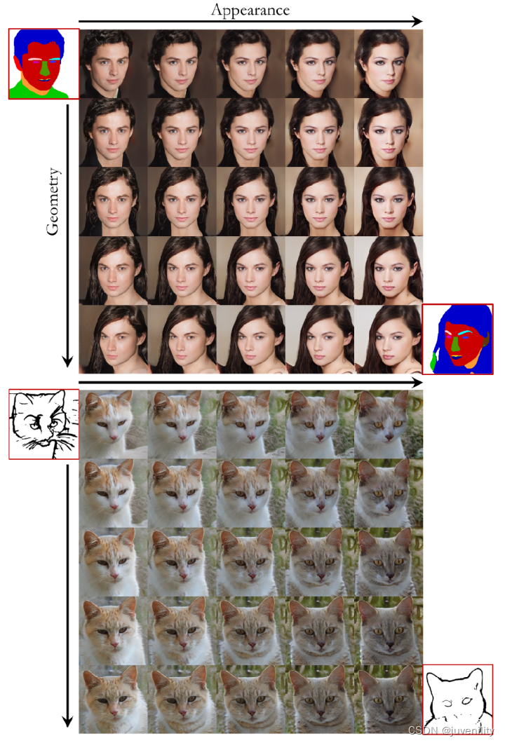 【论文分享】3D-aware Conditional Image Synthesis｜CMU_3d-aware image synthesis-CSDN博客