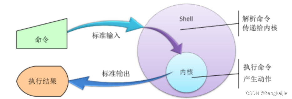 1linux 基本命令的使用 基础知识 Linux系统组成 Shell解释器linux中shell解释器操作 Csdn博客