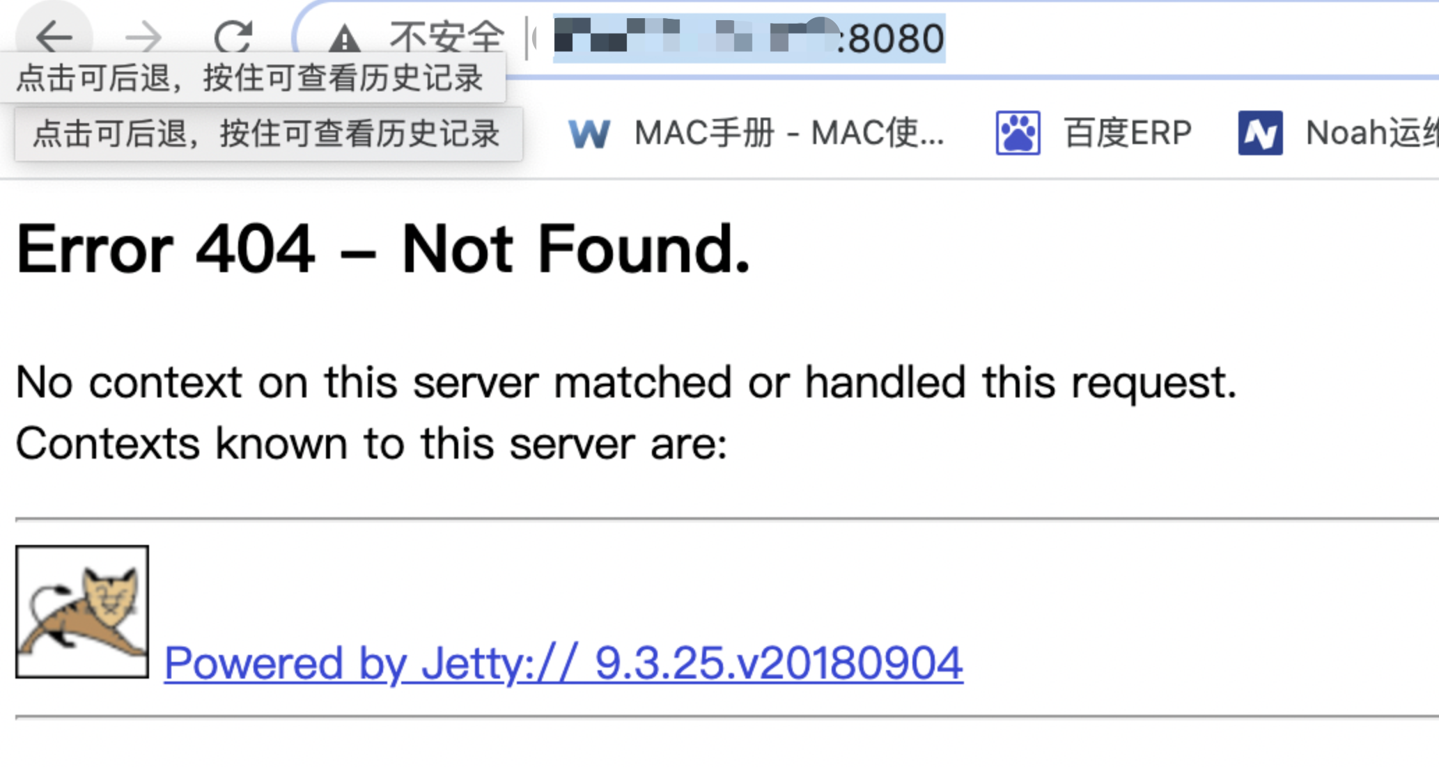 jetty安装_jetty下载和安装教程-CSDN博客