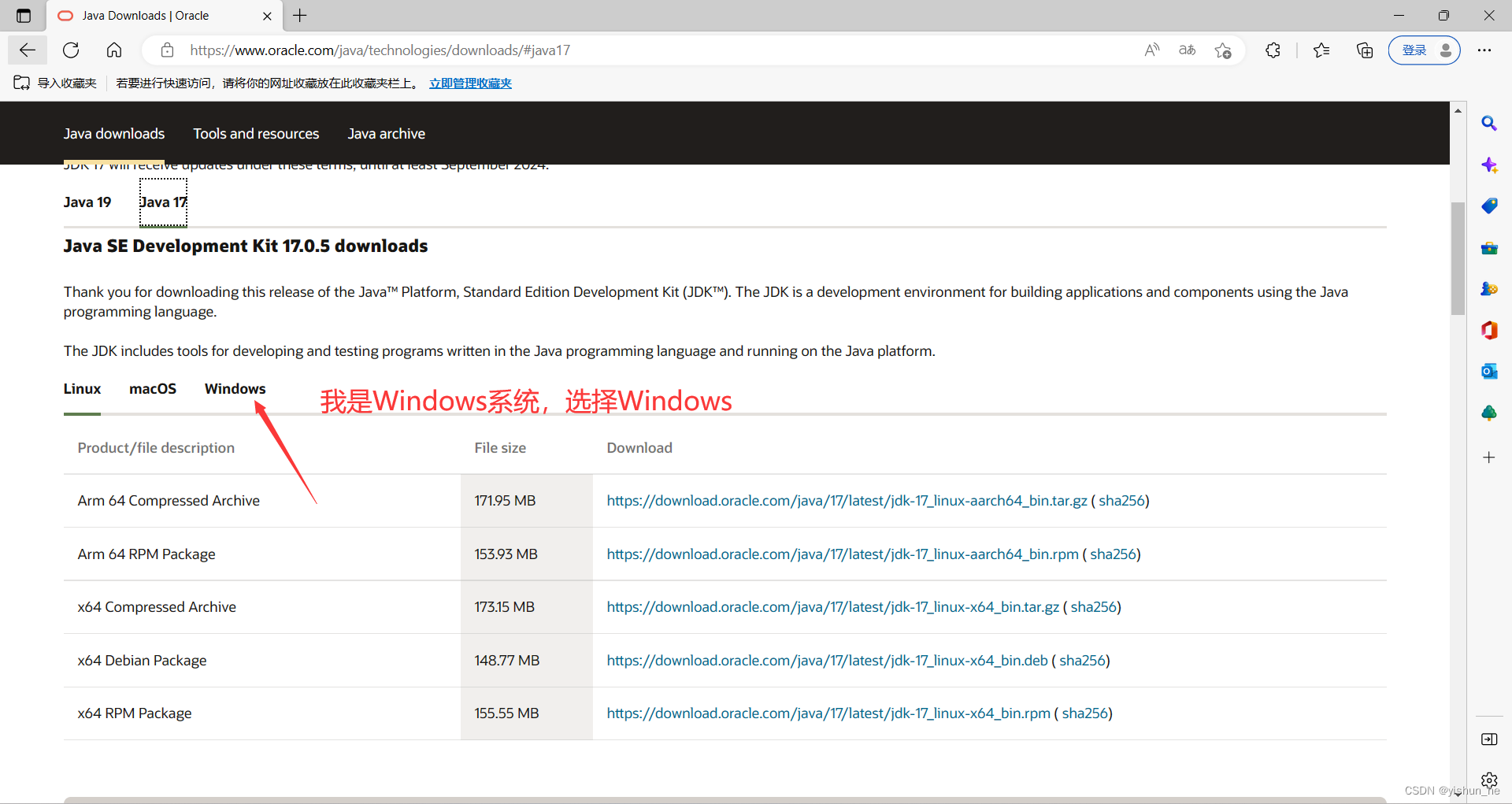 JDK17下载及配置环境变量_jdk17配置环境变量配置-CSDN博客