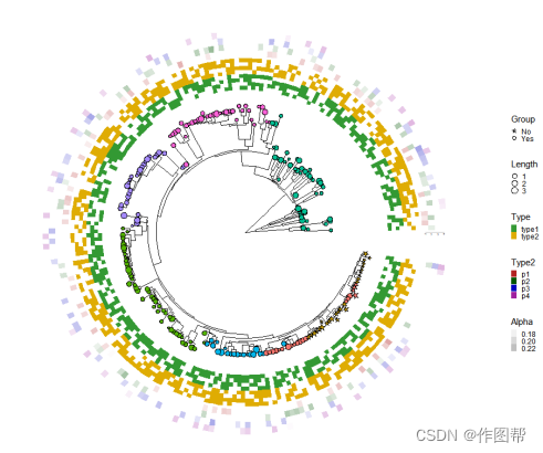 R语言|ggtreeExtra包绘制进化树_r语言绘制进化树_作图帮的博客-CSDN博客