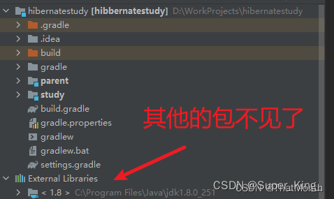 解决IDEA项目external libraries依赖包消失的问题_external library-CSDN博客