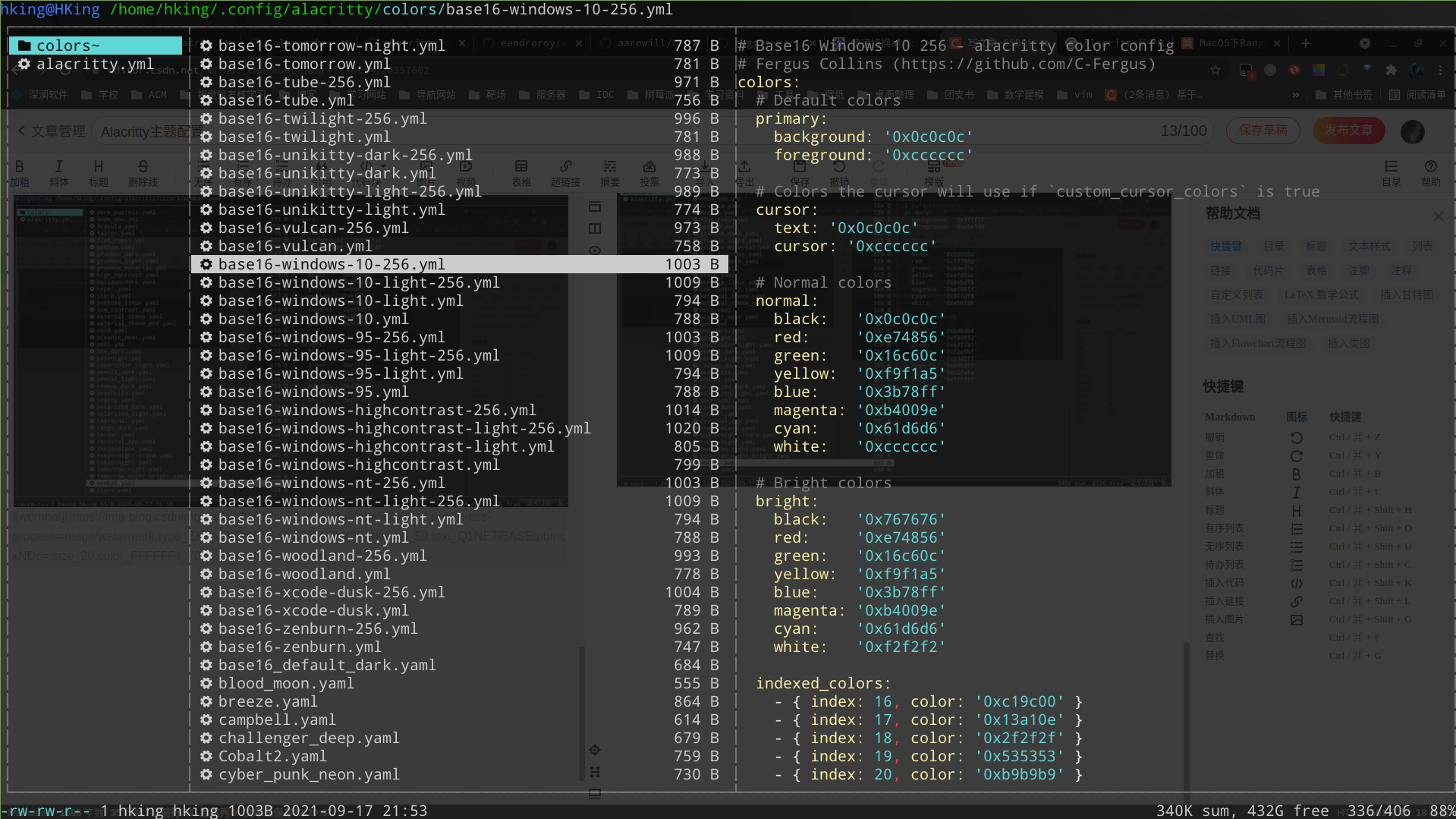 Alacritty主题配置_alacritty配置-CSDN博客