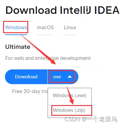 Idea2023.2.2的下载、解压安装_idea2023.2下载-CSDN博客