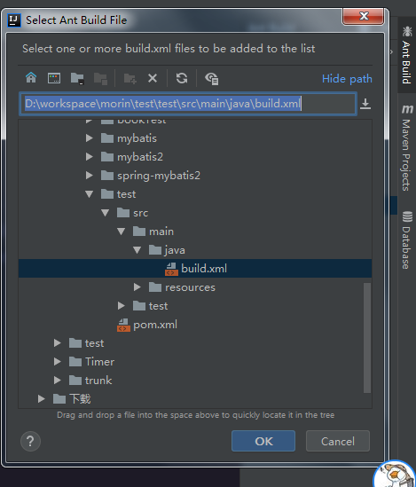 Idea中侧栏Ant build的作用-CSDN博客
