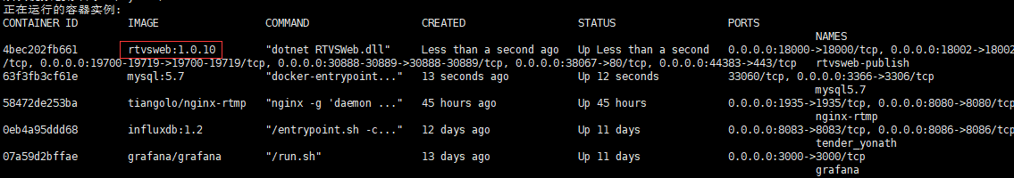 Shell脚本构建Docker 半自动化编译打包发布应用_shell 更新git并打包docker-CSDN博客
