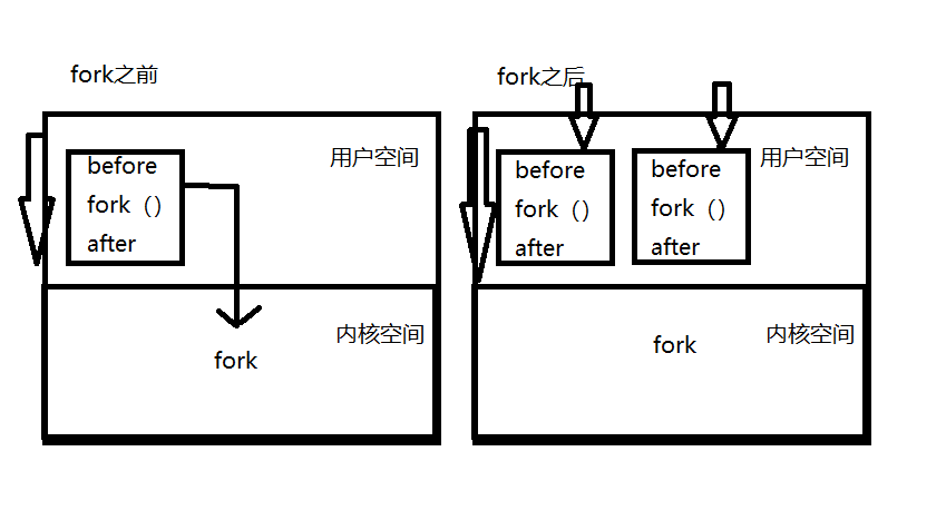 Linux：进程控制(fork/vfork)(进程终止:exit/_exit)(进程等待：wait/waitpid/status)(进程替换:exec函数/shell实现）_使用下列系统调用 ...