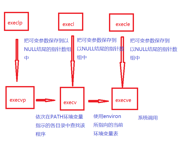Linux：进程控制(fork/vfork)(进程终止:exit/_exit)(进程等待：wait/waitpid/status)(进程替换:exec函数/shell实现）_使用下列系统调用 ...