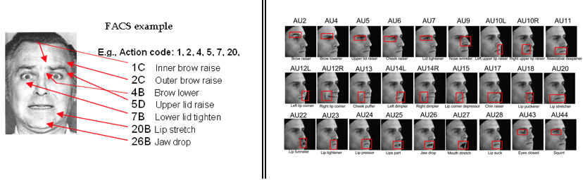论文阅读：GANimation: Anatomically-aware Facial Animation from a Single ...
