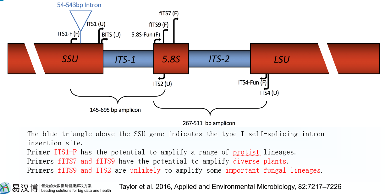 真菌和细菌高通量测序引物选择_its引物-CSDN博客