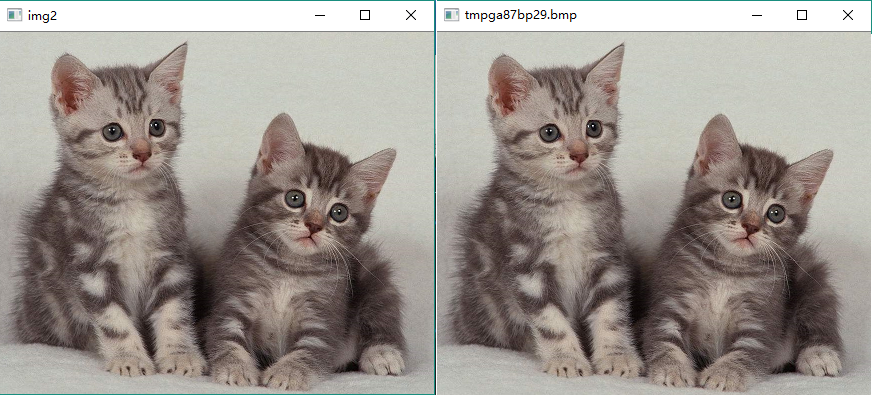 PyTorch—ImageFolder/自定义类 读取图片数据_imagefolder index to class-CSDN博客