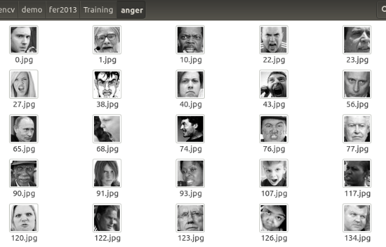 人脸表情数据集-fer2013-CSDN博客