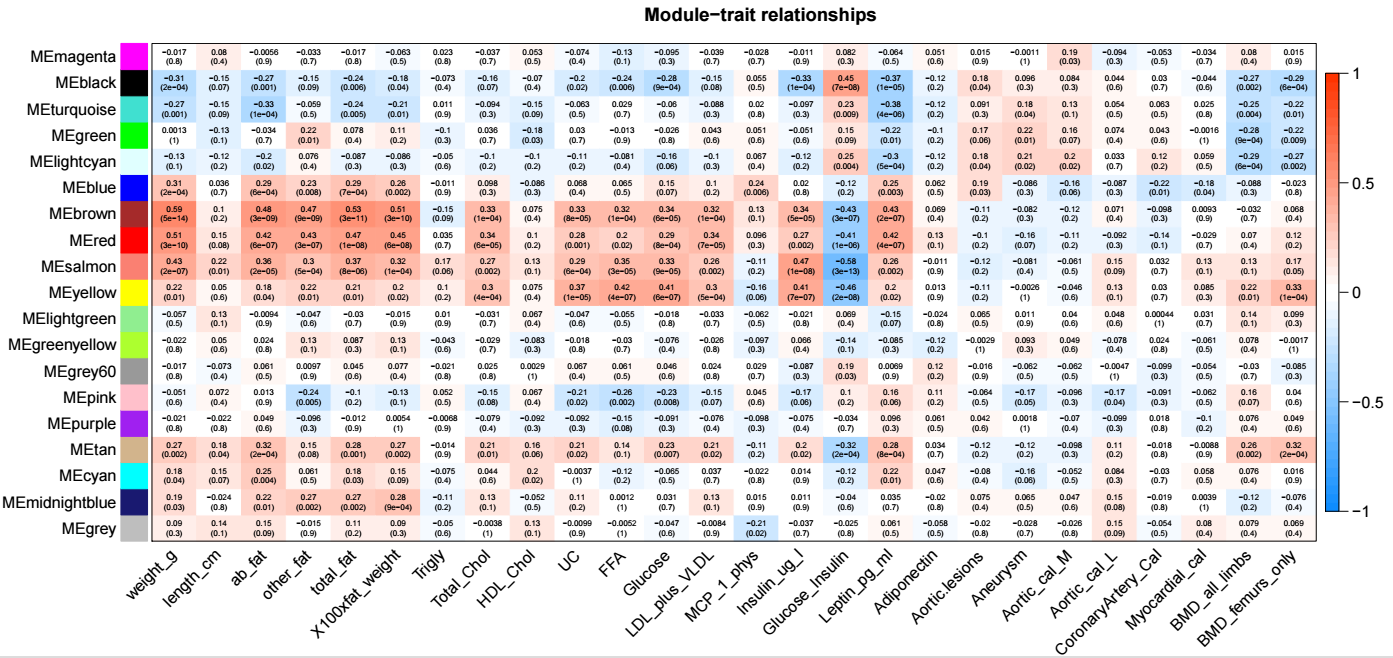 WGCNA将共表达基因与表型数据相关联_wgcna表型数据-CSDN博客