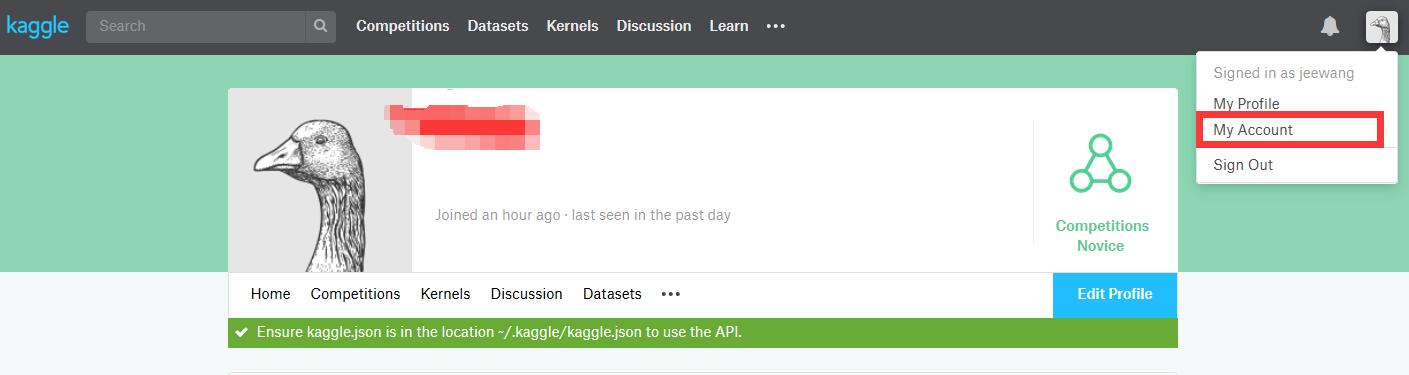 下载kaggle数据集_kaggle pku-CSDN博客