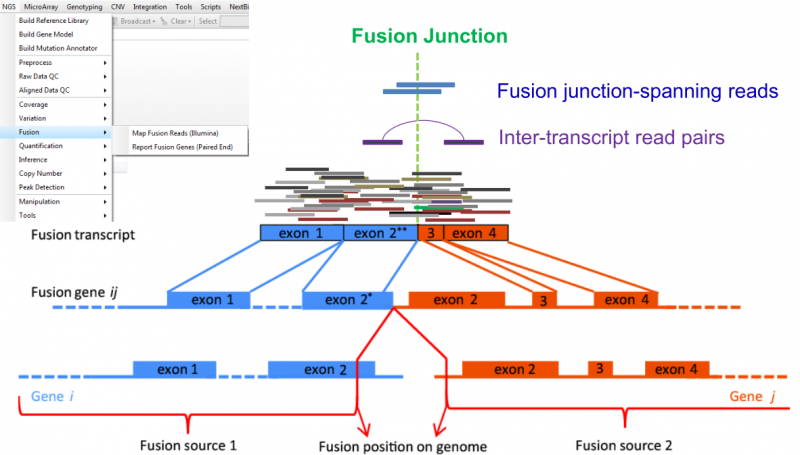 使用FusionMap检测融合基因-CSDN博客