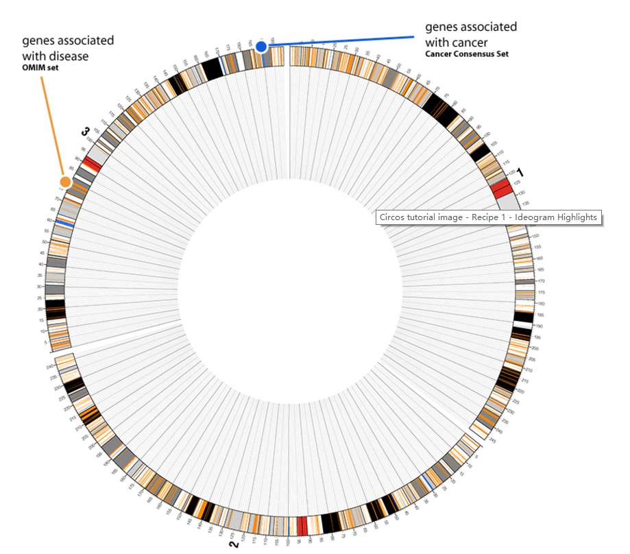 circos 可视化手册-highlights 篇_circos highlight-CSDN博客